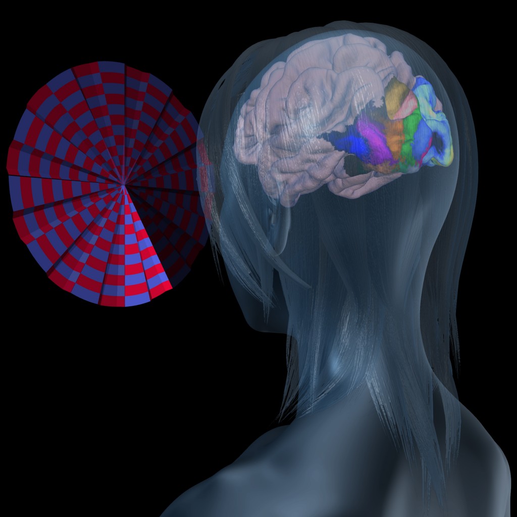 Human Brain Mapping January 2012 Volume 33, Issue 1 | カバーピクチャー作成サービス