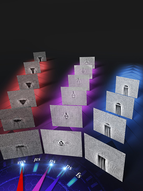 SCIENCE ADVANCES, 20 December 2023, Vol 9, Issue 51 | カバーピクチャー作成サービス